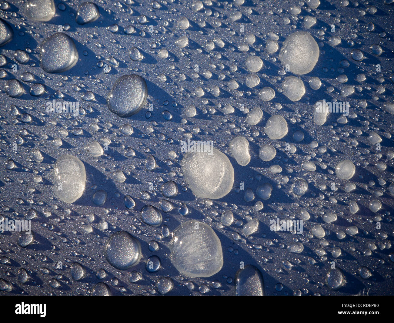 Frozen Water Droplets on a cold morning. Abstract blue background Stock ...