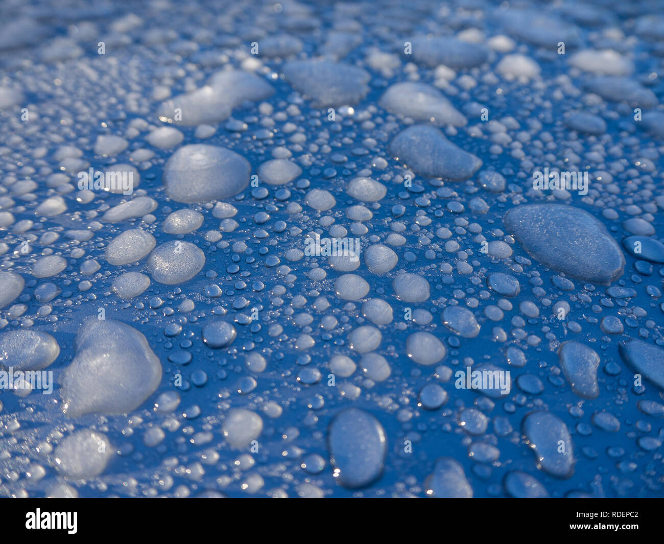 Frozen Water Droplets on a cold morning. Abstract blue background Stock ...