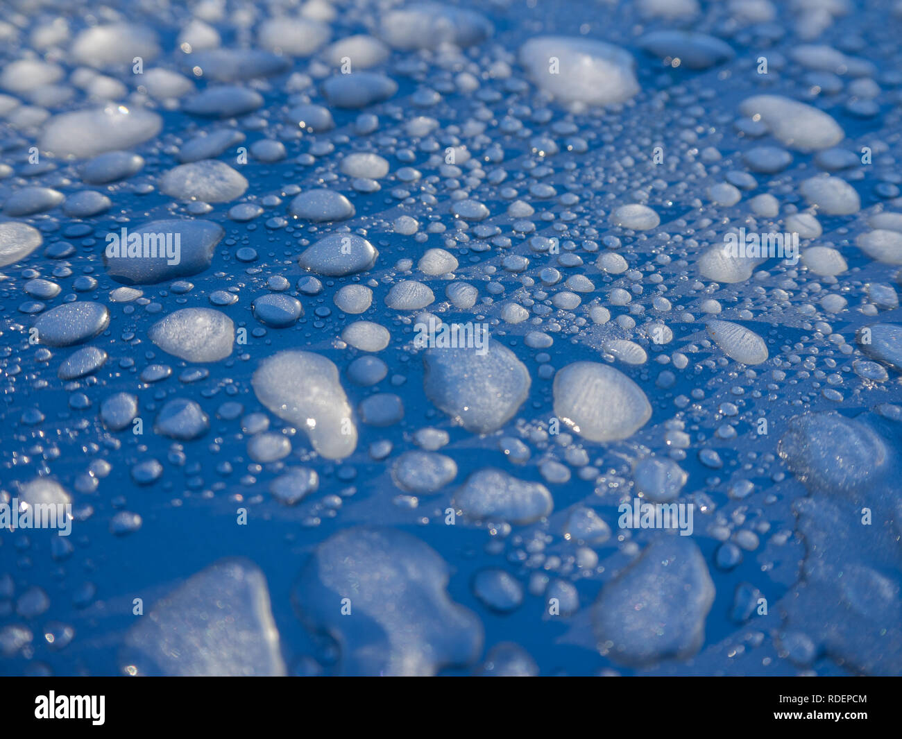 Frozen Water Droplets on a cold morning. Abstract blue background Stock ...