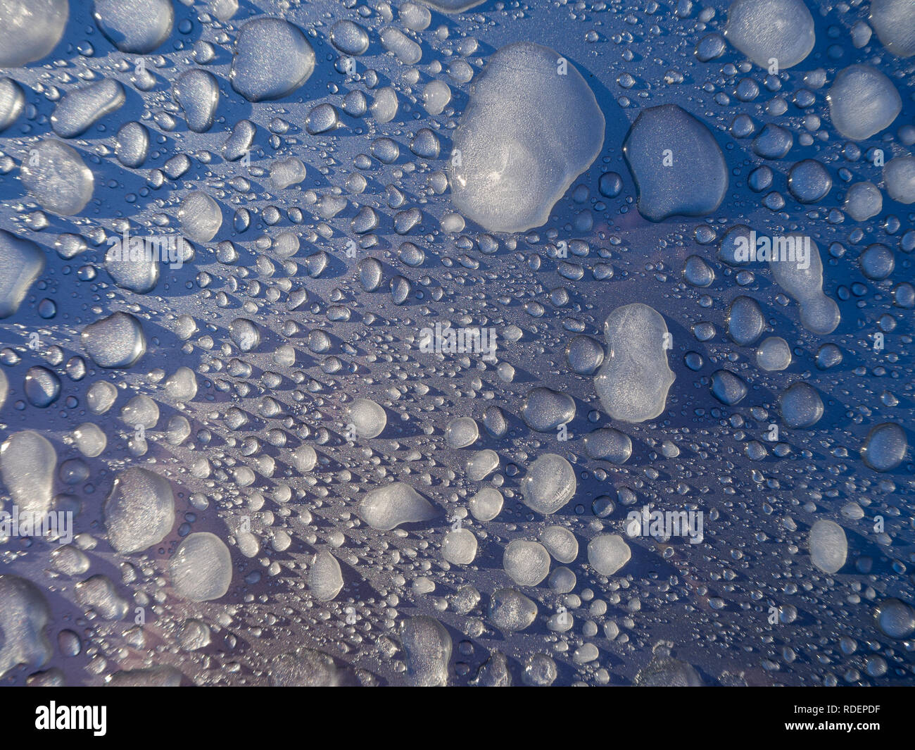 Frozen Water Droplets on a cold morning. Abstract blue background Stock ...