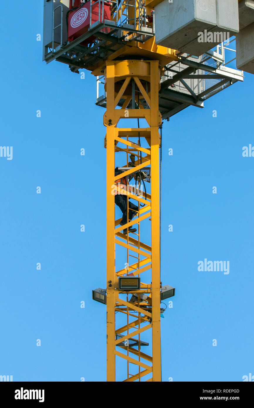 A frame tower crane, seen on almost every major construction site ...