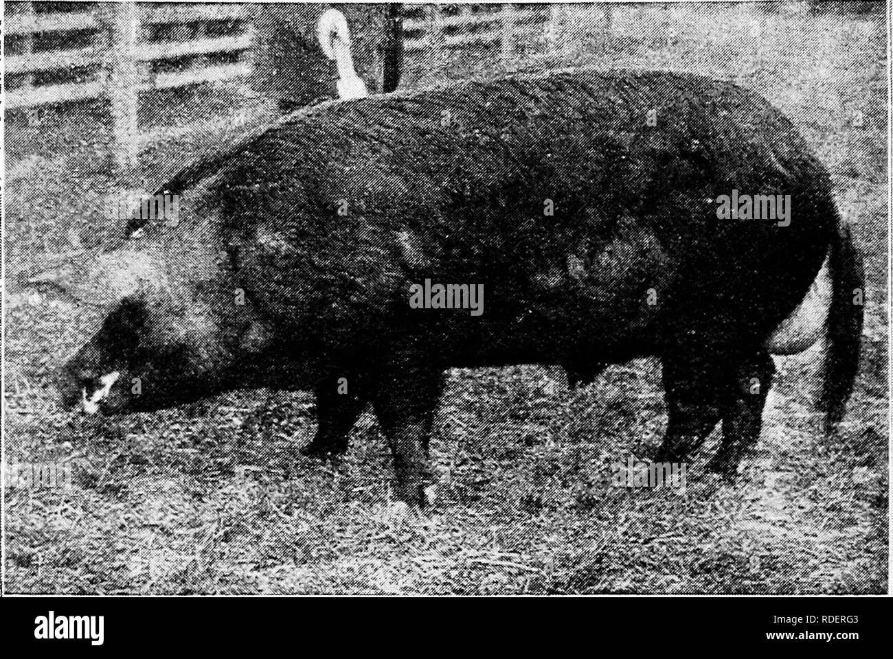 George ibbotson Black and White Stock Photos & Images - Alamy