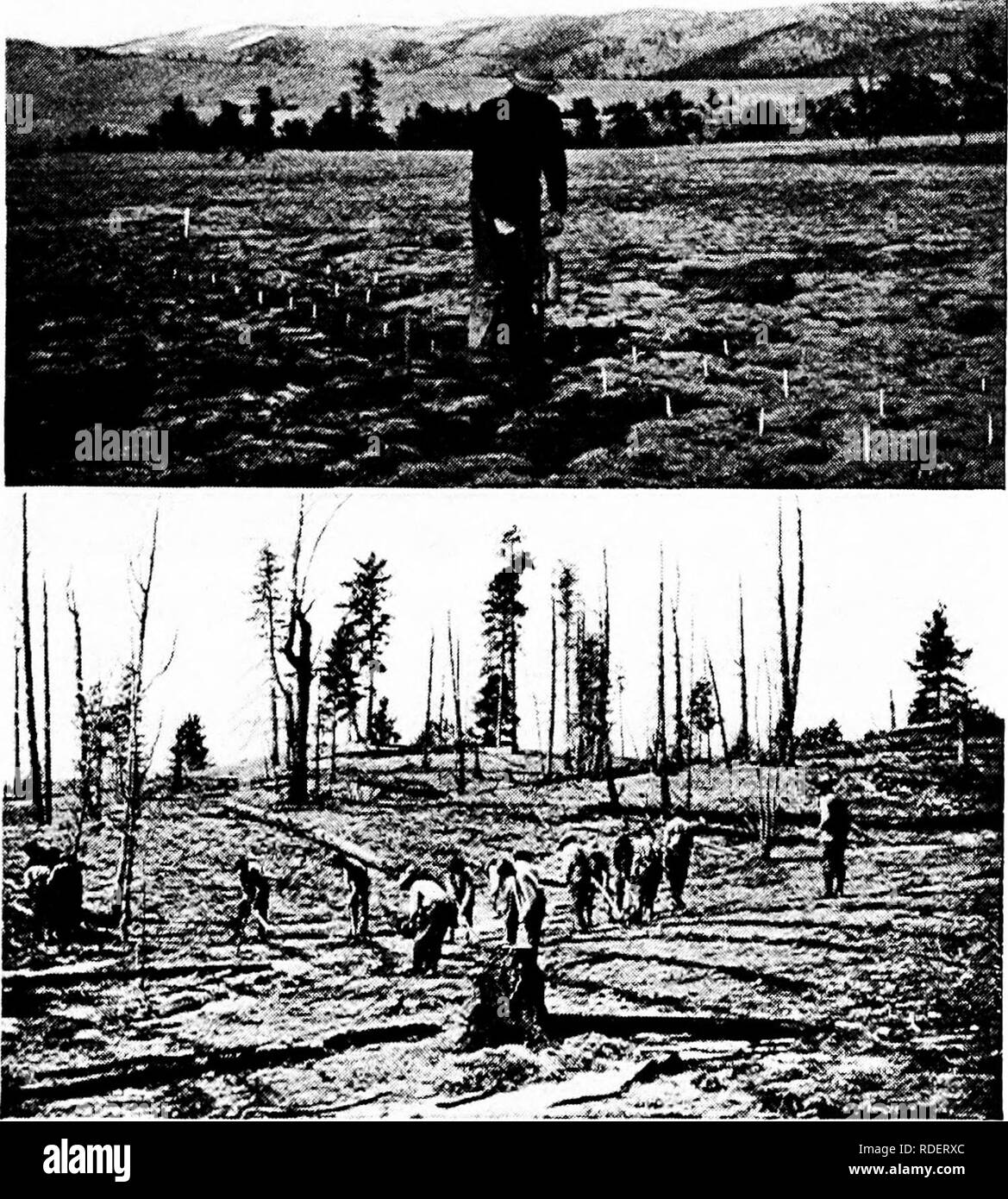 Richard seed Black and White Stock Photos & Images - Alamy