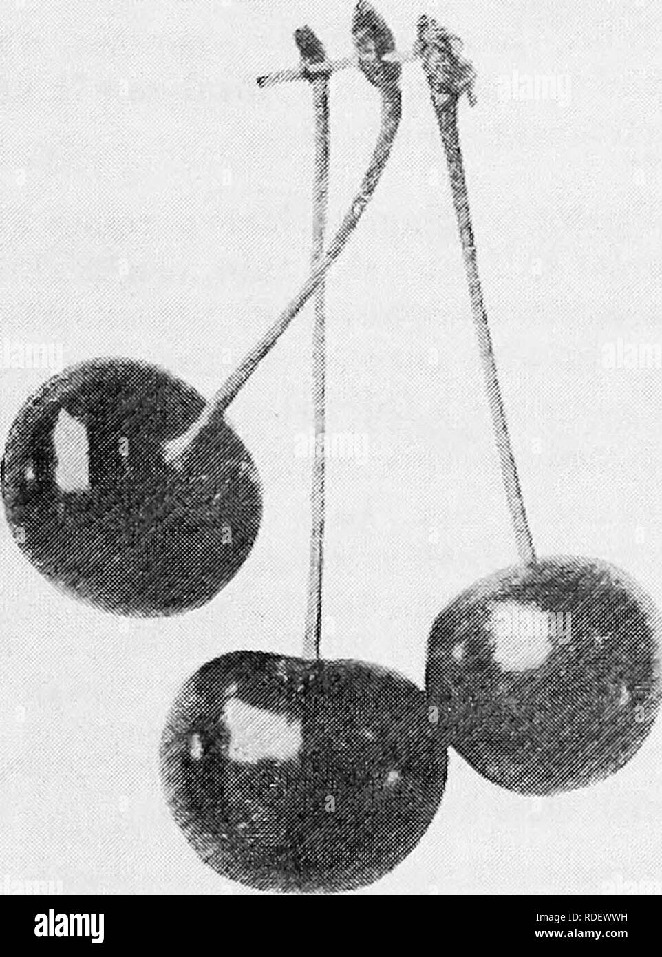 Litham hi-res stock photography and images - Alamy