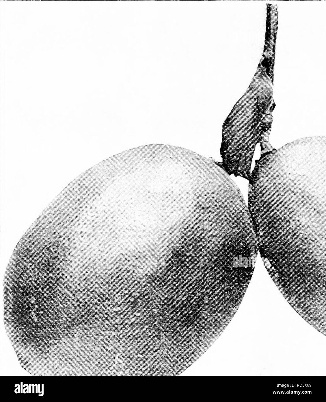 Bræ Black and White Stock Photos & Images - Alamy