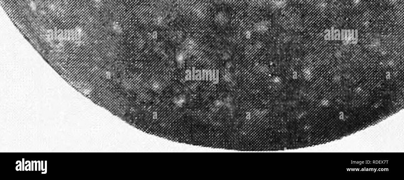 Slightly conical Black and White Stock Photos & Images - Alamy