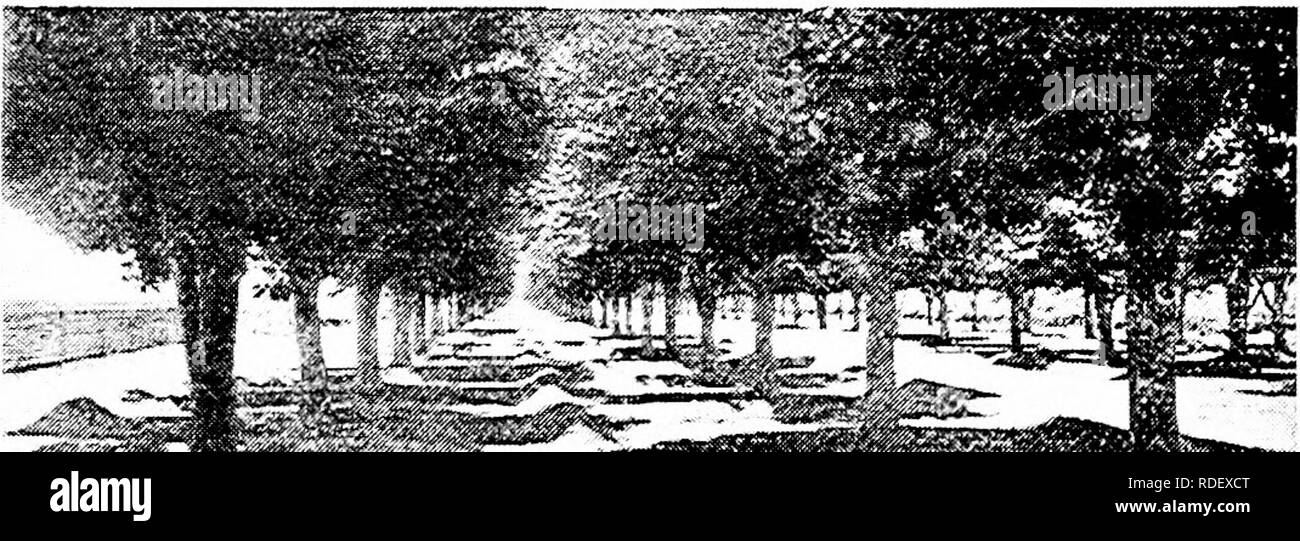 Citrus orchard basin hi-res stock photography and images - Alamy