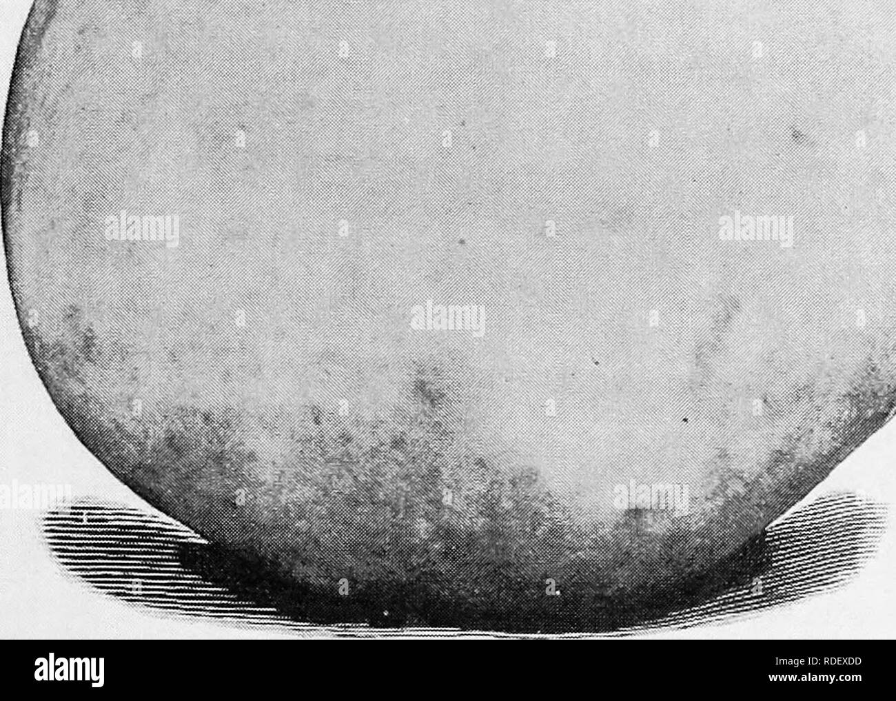 Selection flavor Black and White Stock Photos & Images - Alamy