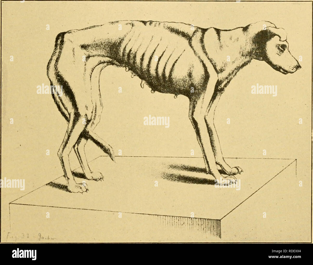 63 whole years hi-res stock photography and images - Alamy