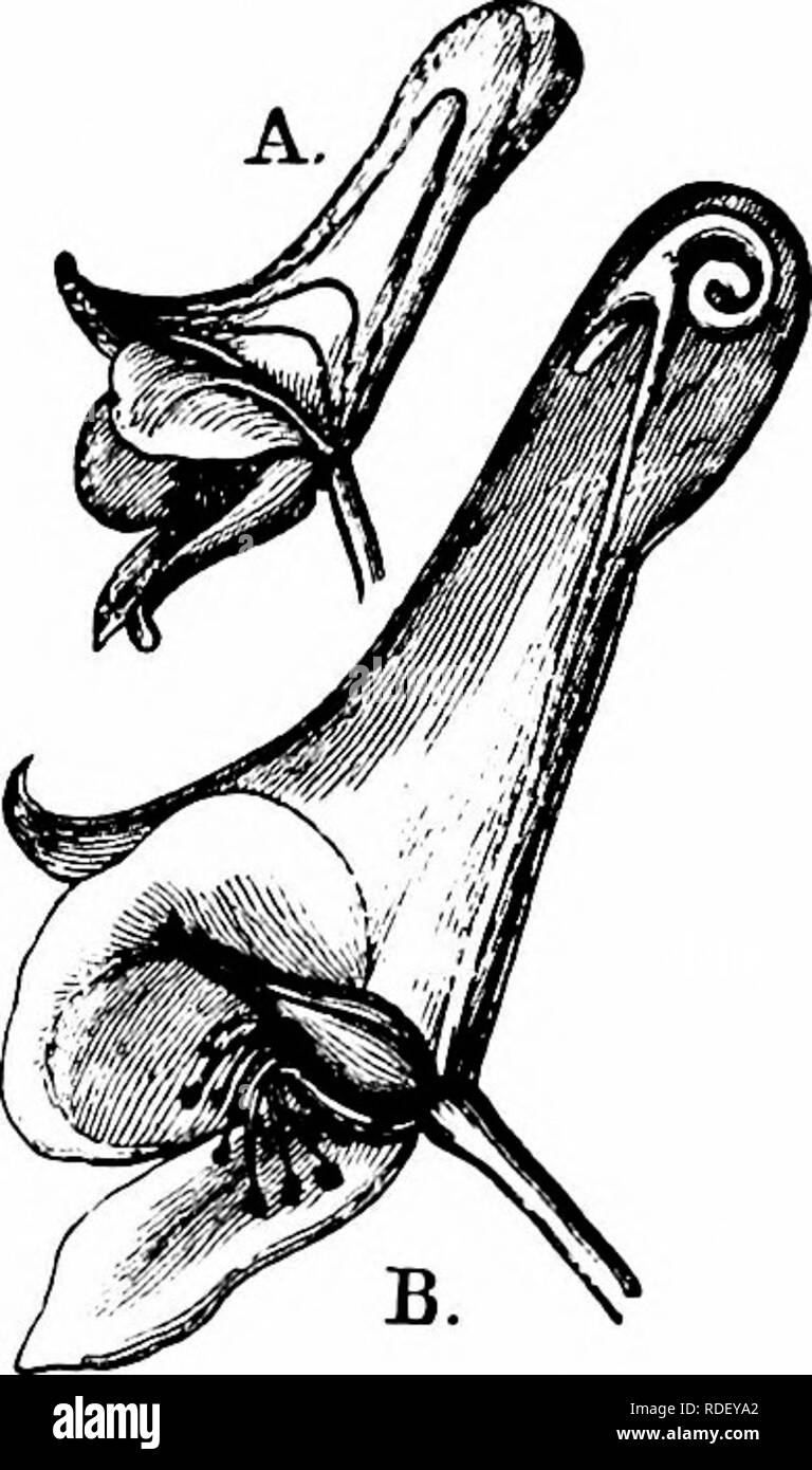 Mastru Black and White Stock Photos & Images - Alamy