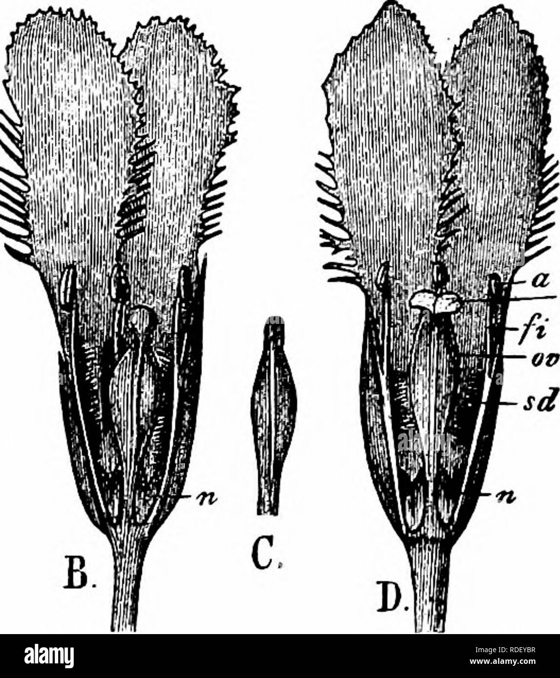. Handbook of flower pollination : based upon Hermann Mu?ller's work ...