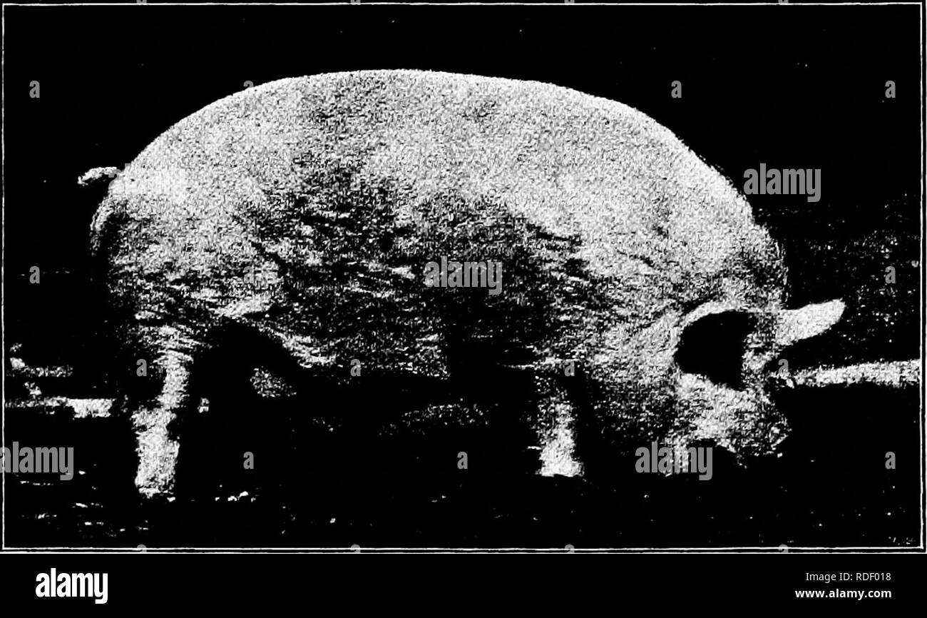 1875 1877 Black and White Stock Photos & Images - Alamy