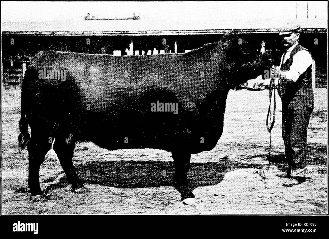 Bradfute hi-res stock photography and images - Alamy