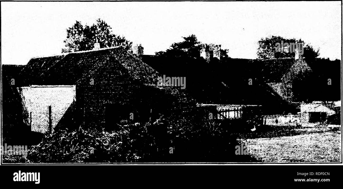 Durham shorthorn cattle hi-res stock photography and images - Alamy