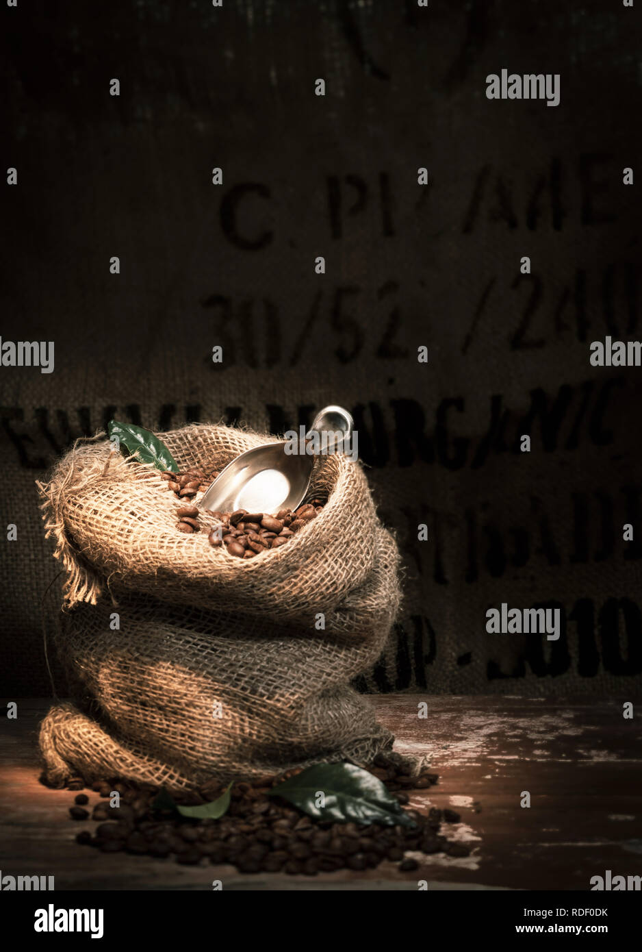 Rustic burlap bag full of fresh roasted Java, Robusta or Arabica coffee ...