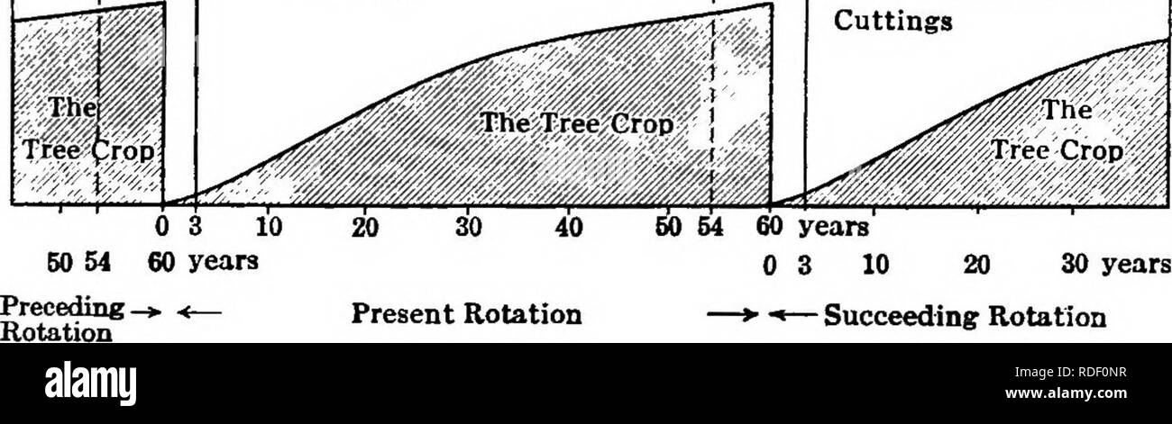 Shelterwood hi-res stock photography and images - Alamy