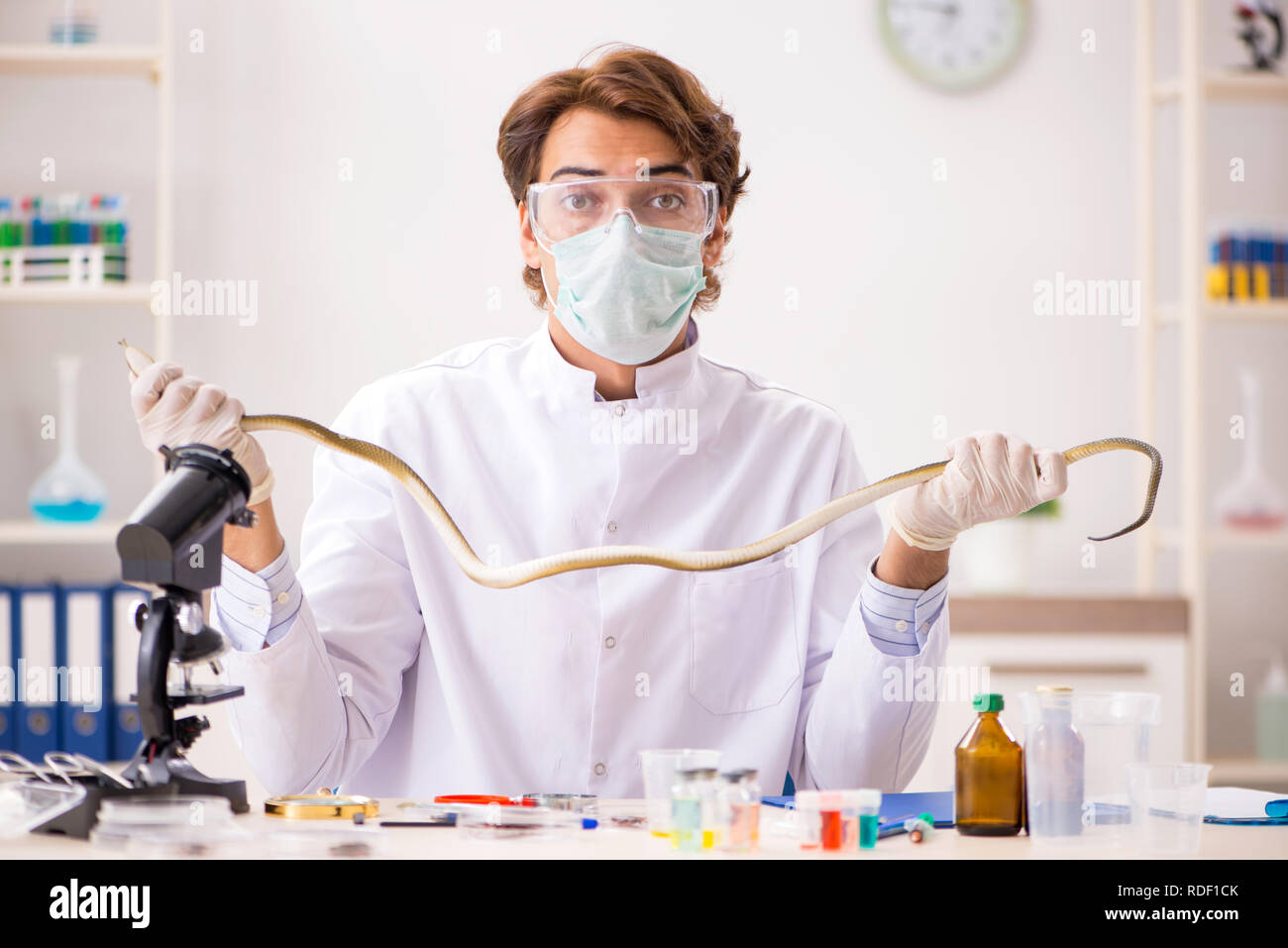 Extracting snake venom hi-res stock photography and images - Alamy