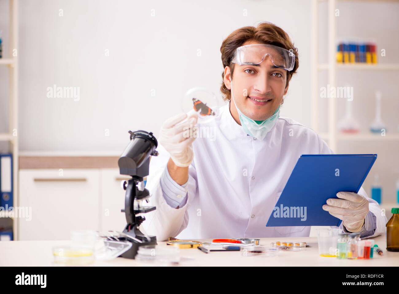 Male entomologist working in the lab on new species Stock Photo - Alamy