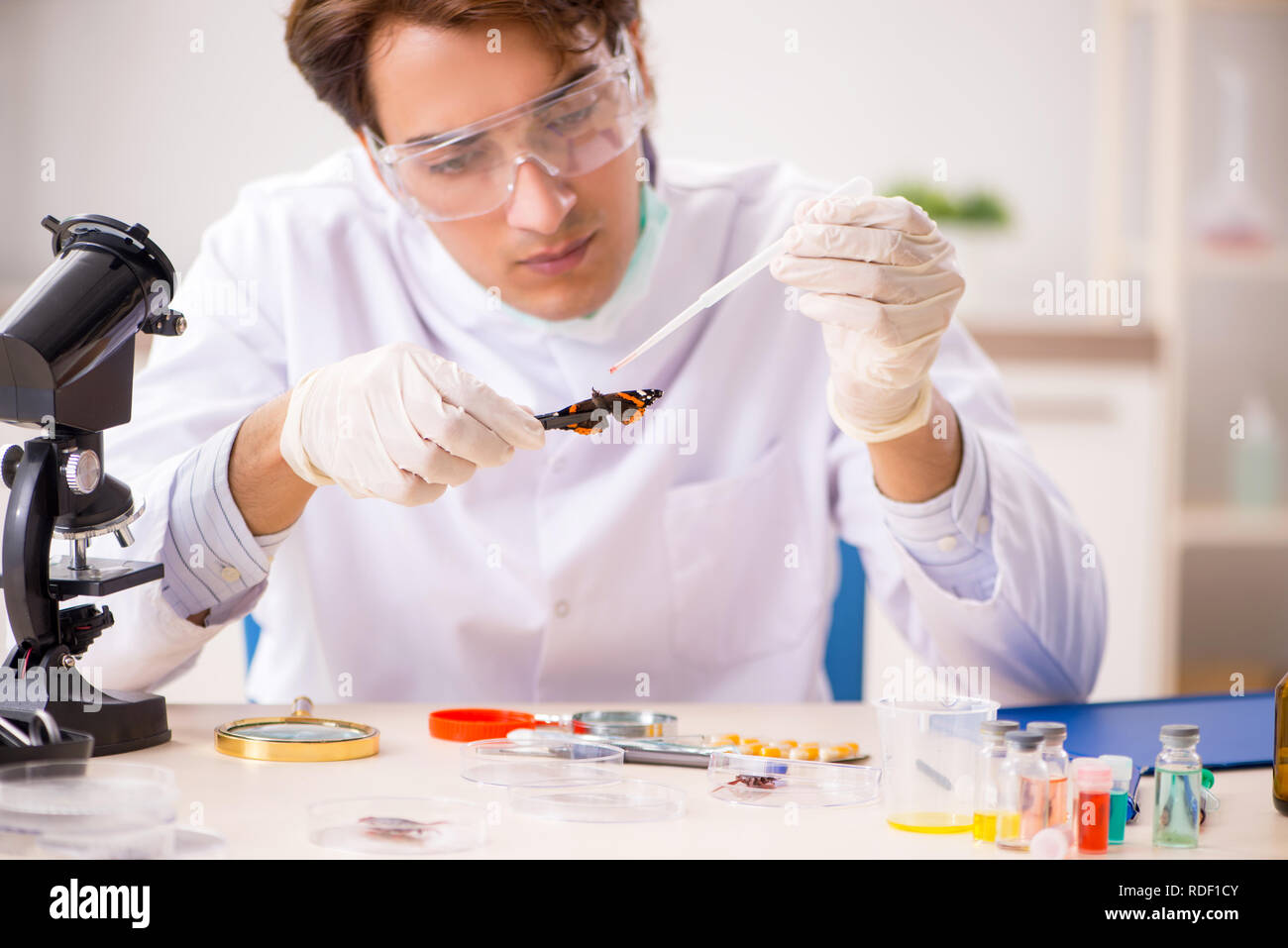 Scientist examining species hi-res stock photography and images - Alamy
