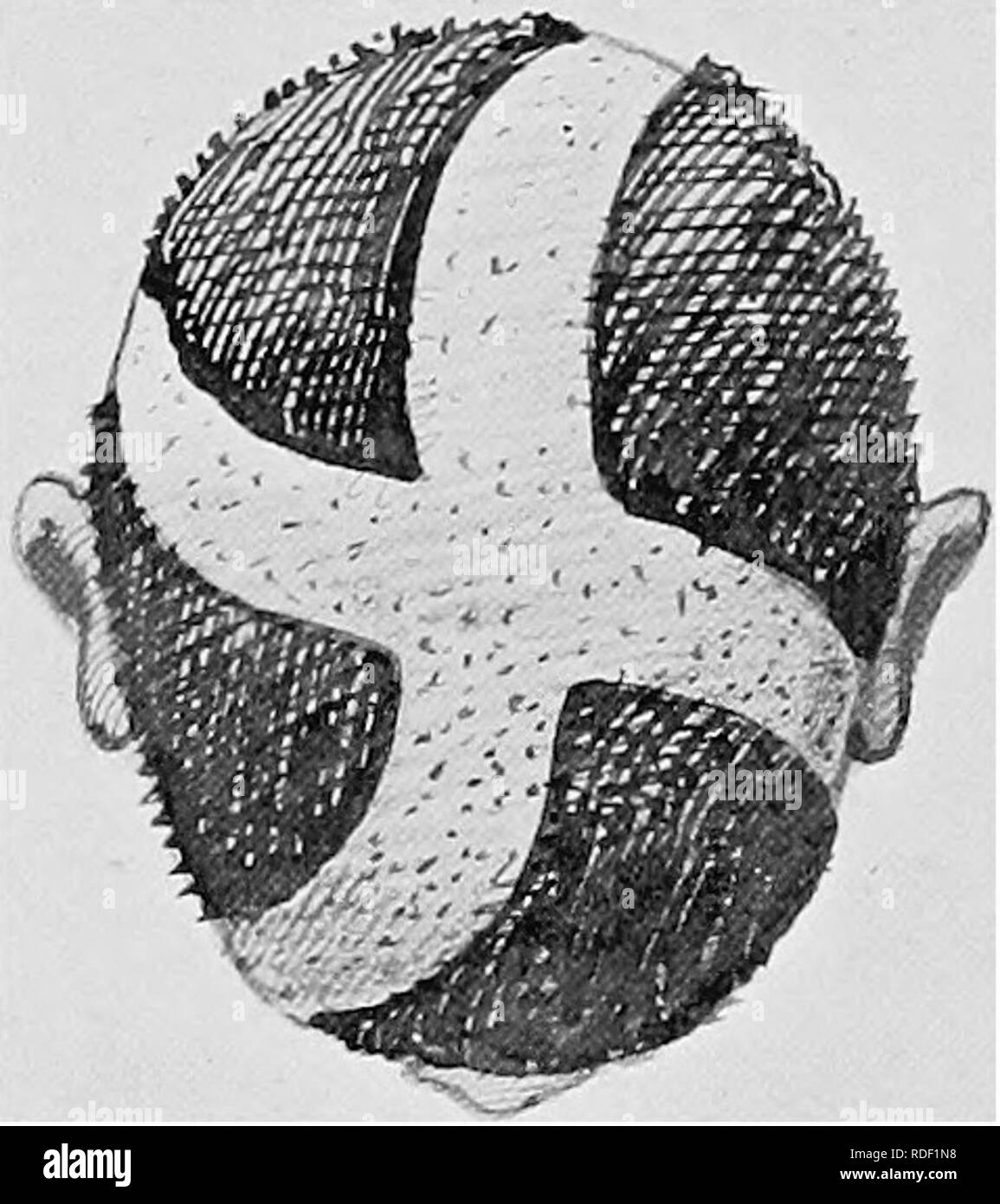 Luo nilotic hi-res stock photography and images - Alamy