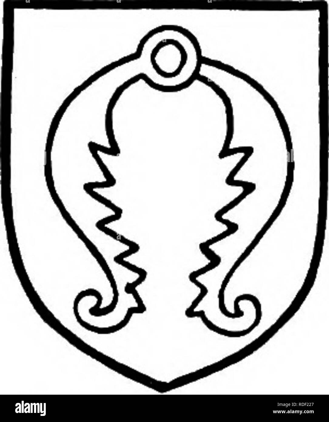 Eudo dapifer hi-res stock photography and images - Alamy