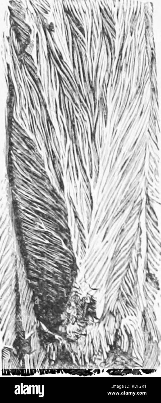 Tide marks on rocks hi-res stock photography and images - Alamy