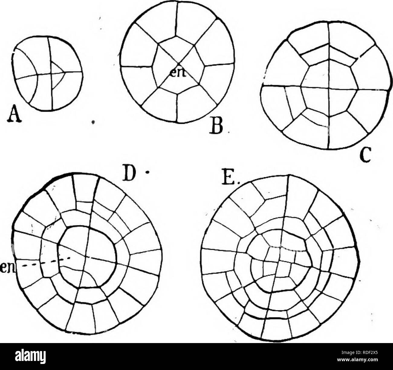 Anticlinal structure hi-res stock photography and images - Alamy