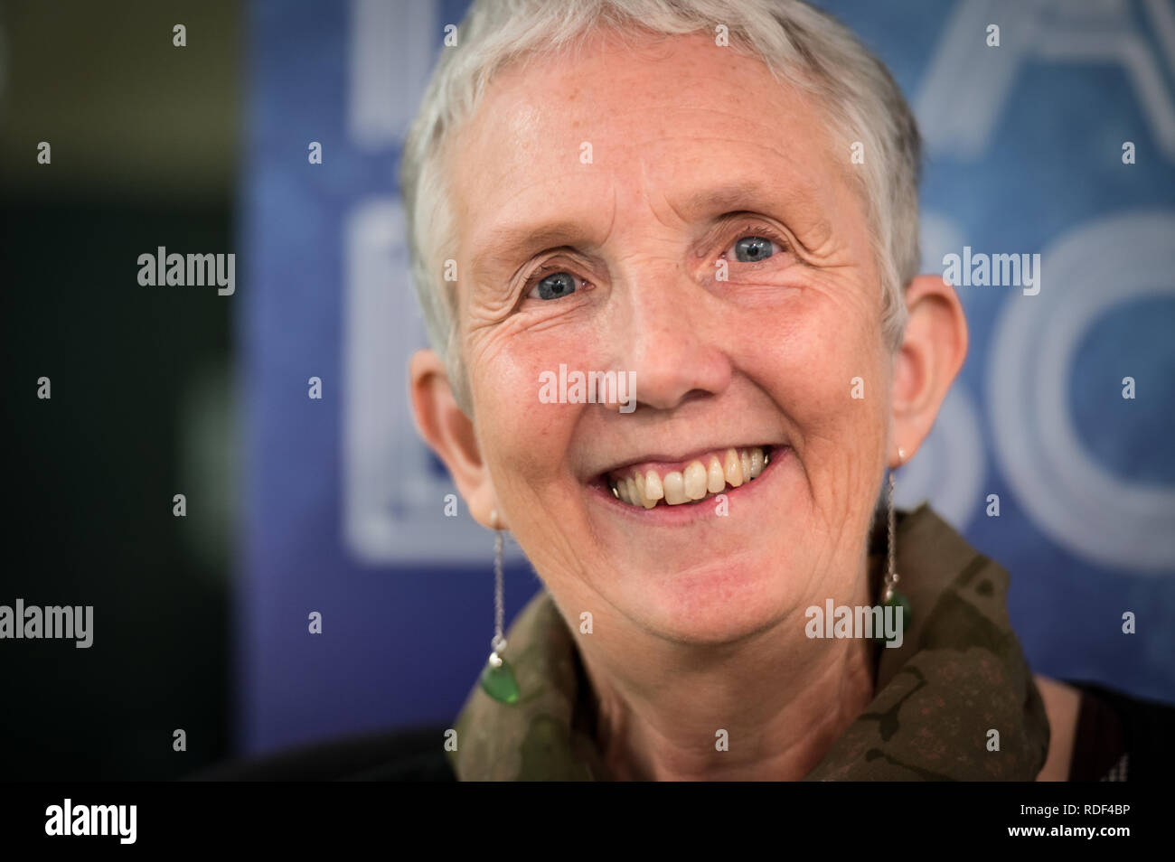 Ann cleeves hi-res stock photography and images - Alamy