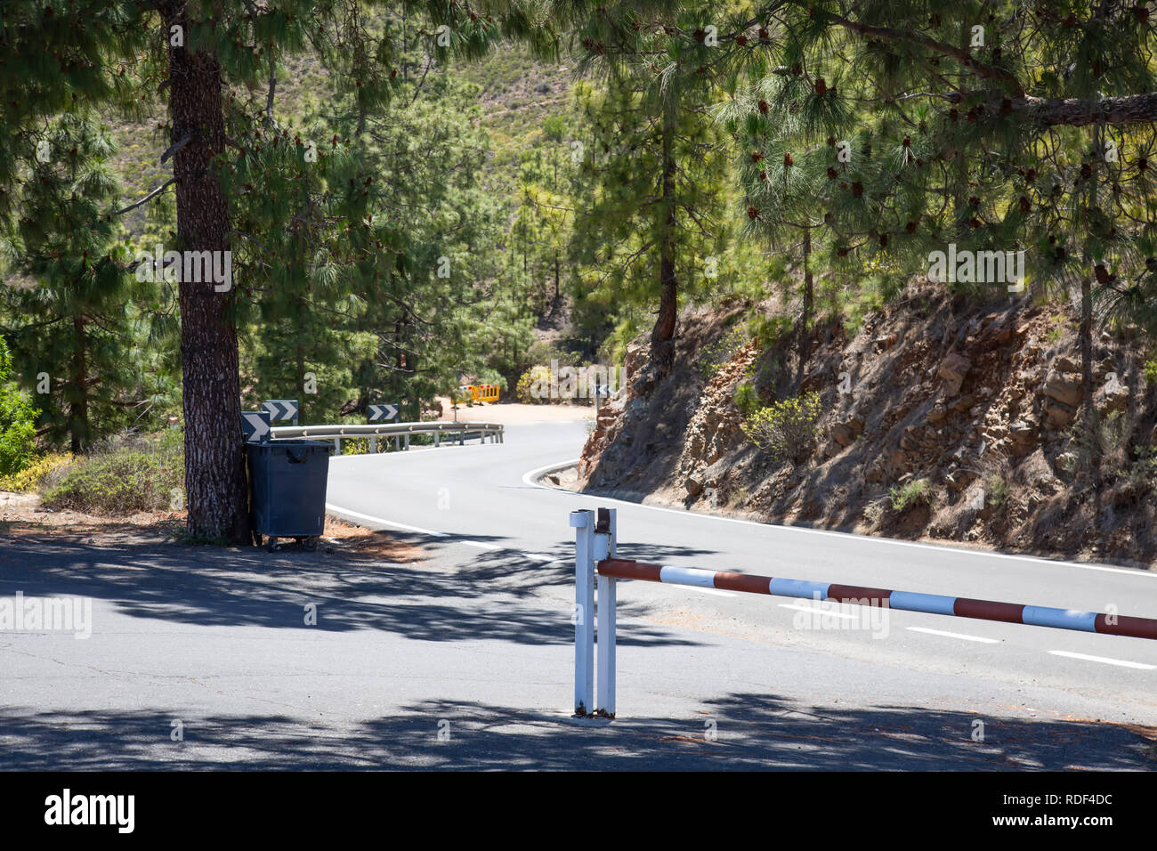 Rest area on a mountain road in the woods on Gran Canaria Stock Photo ...