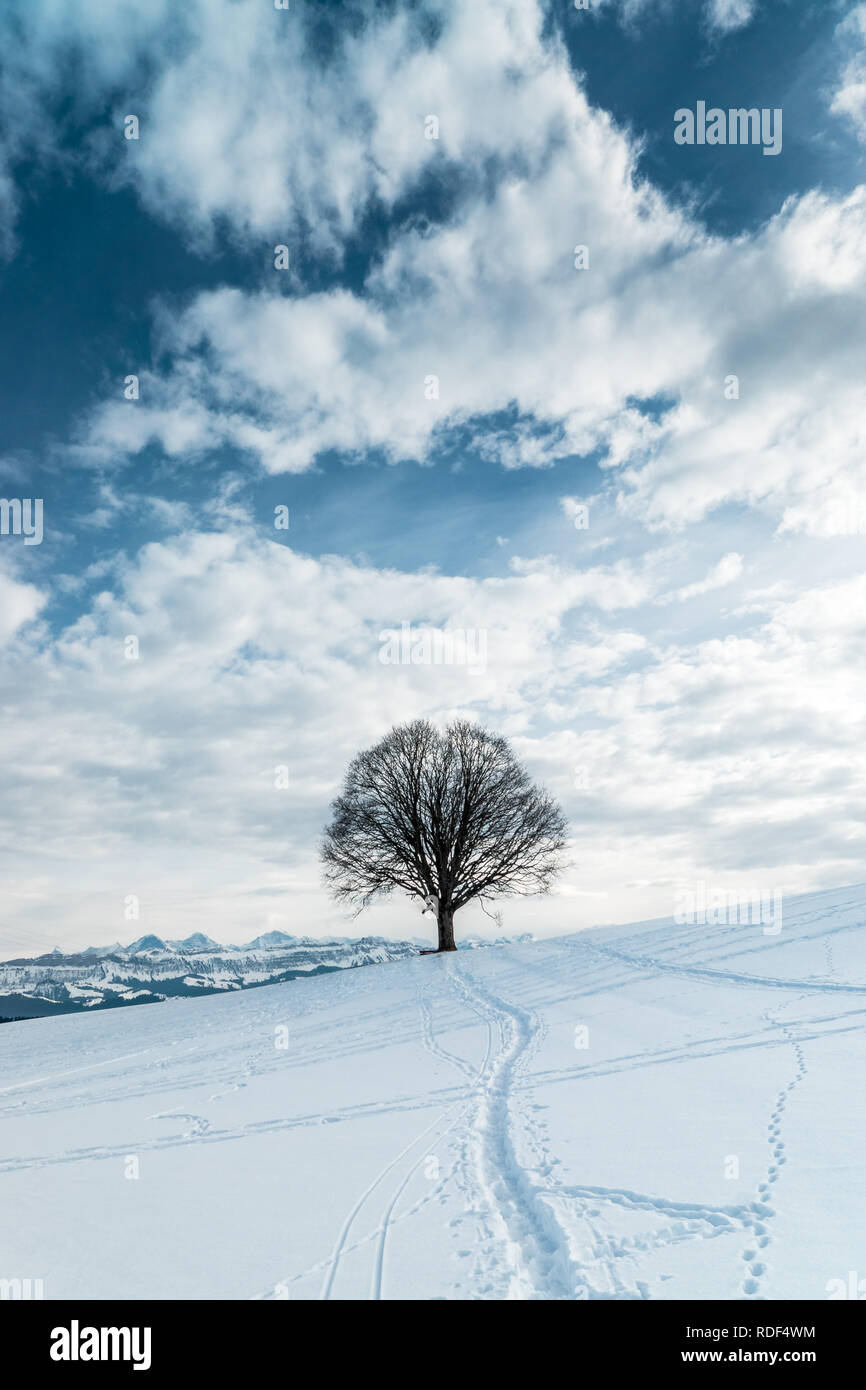 Schweizer alpen snow way hi-res stock photography and images - Alamy