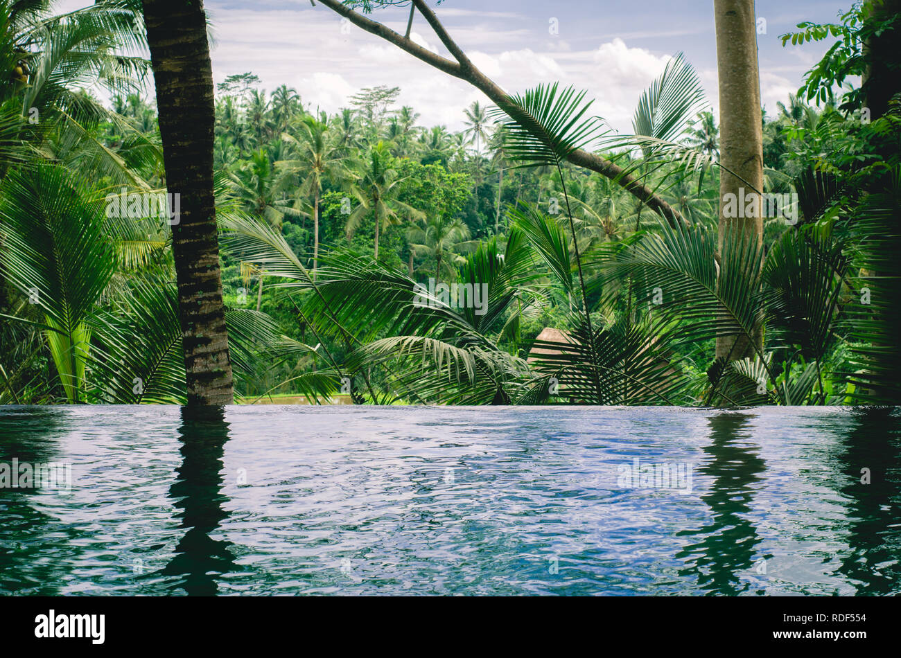 Spa pool jungle hi-res stock photography and images - Alamy