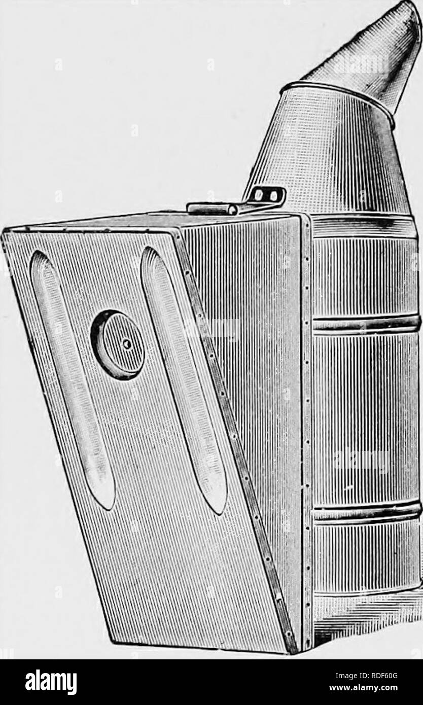 Pig spleen hi-res stock photography and images - Alamy