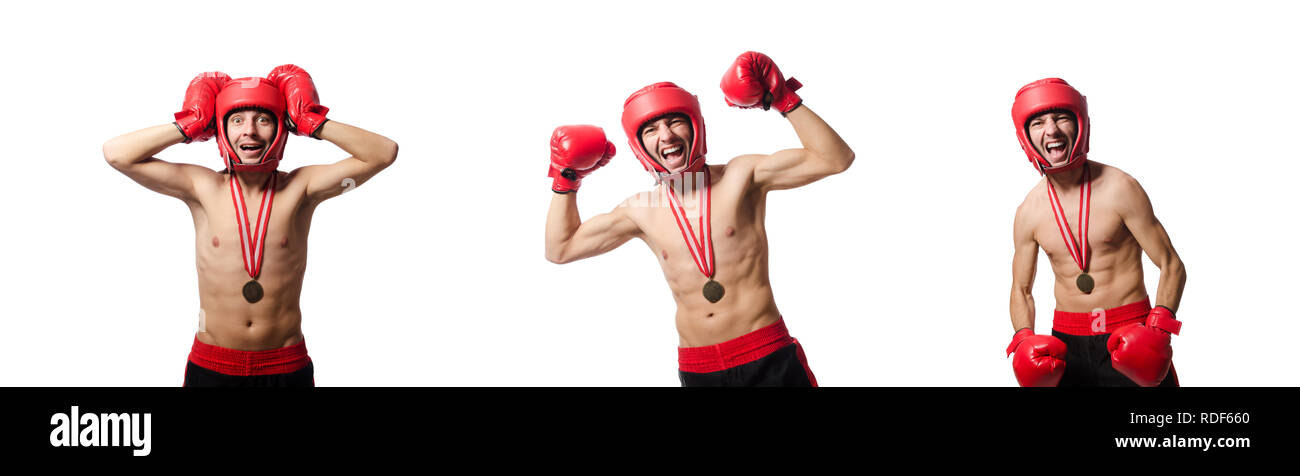 Funny boxer isolated on the white Stock Photo - Alamy