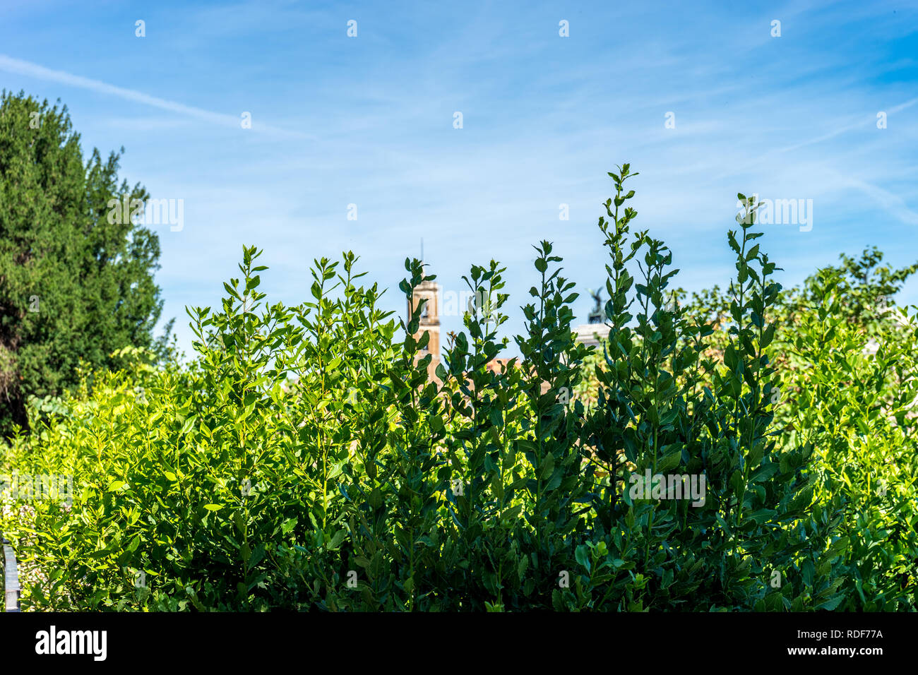 Agriculture in ancient rome hi-res stock photography and images - Alamy