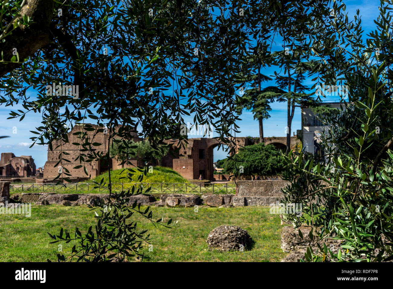 Europe, Italy, Rome, Roman Forum, a large green field with trees in the ...