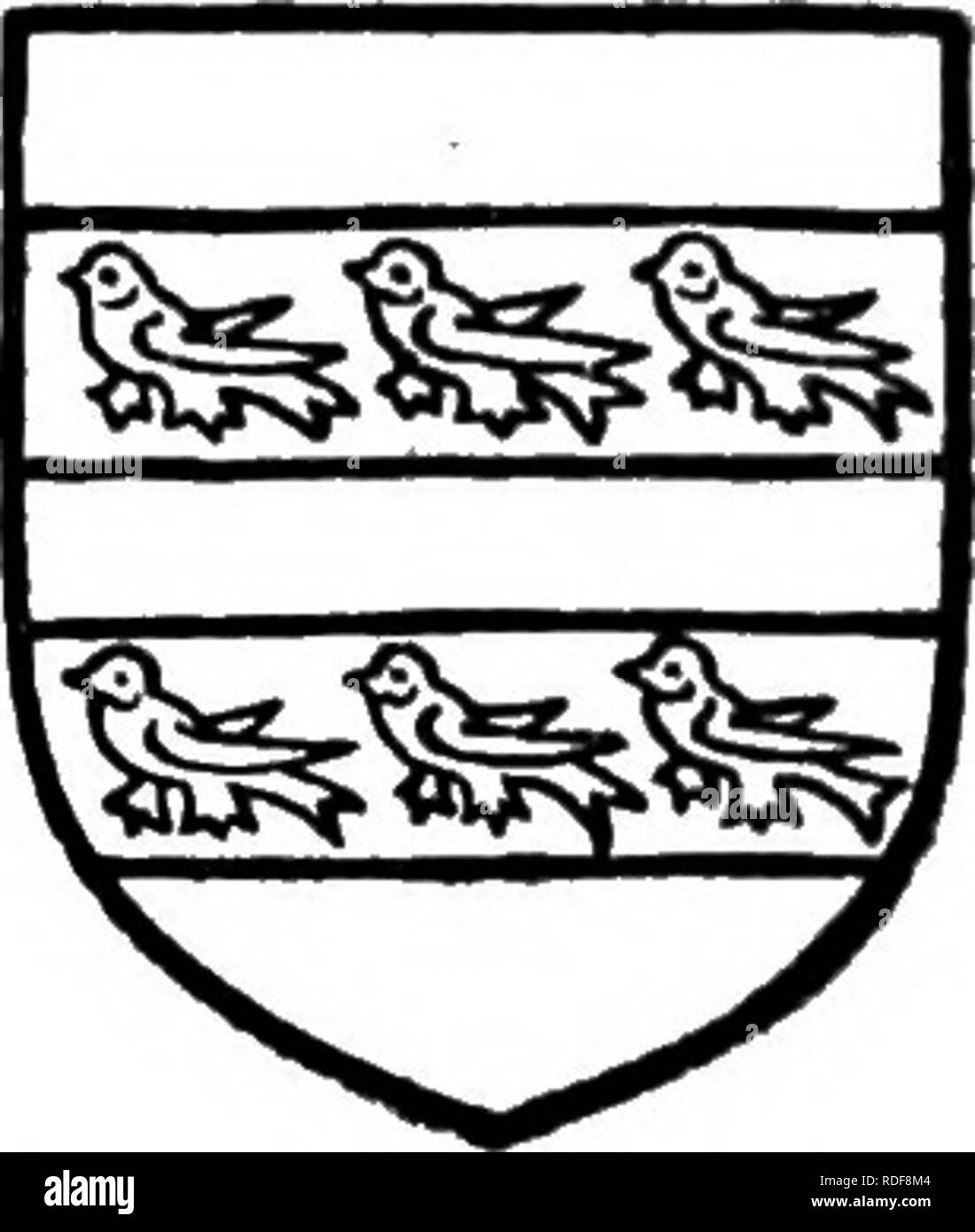 Lions passant hi-res stock photography and images - Alamy