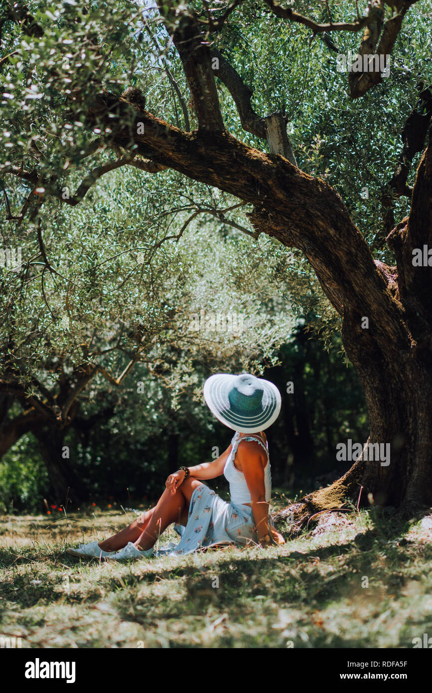 Sitting Under An Olive Tree High Resolution Stock Photography and ...