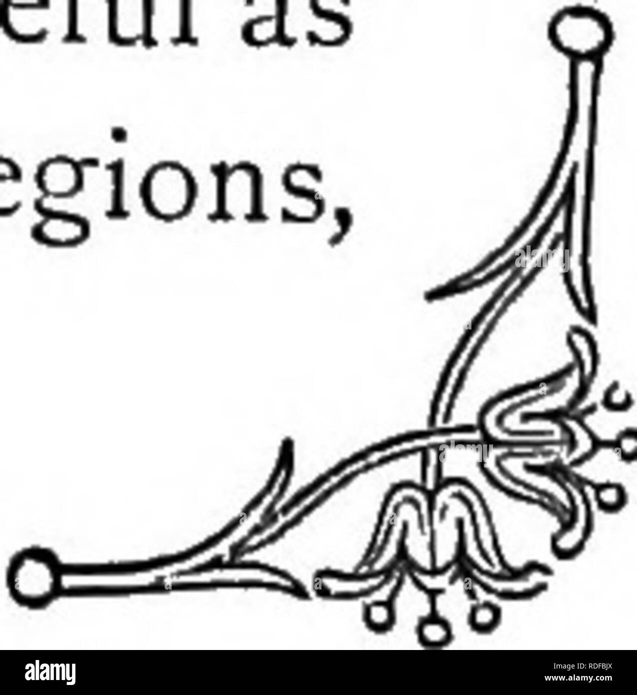 Fern leaf emblems hi-res stock photography and images - Alamy