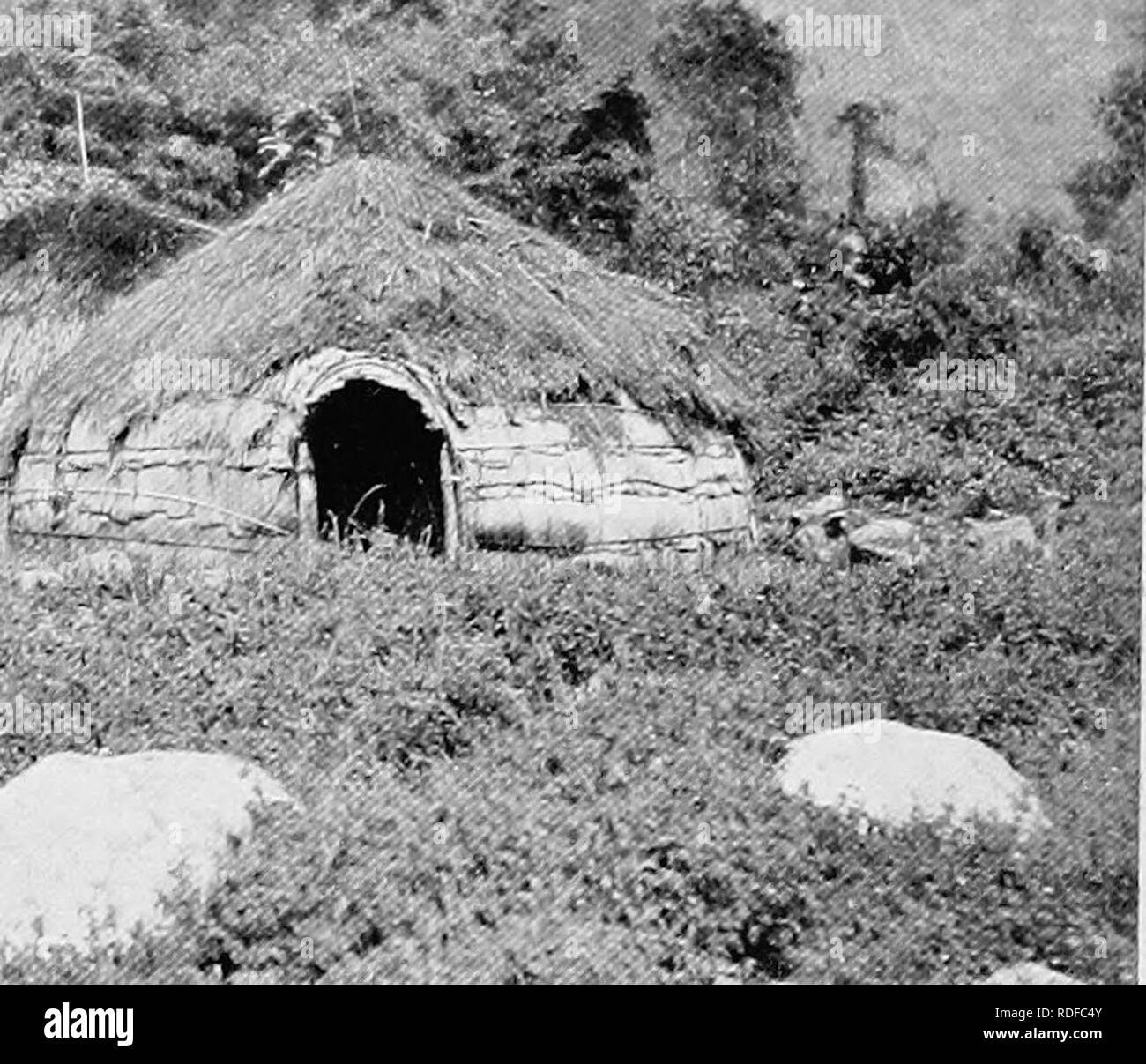 Konjo hi-res stock photography and images - Alamy