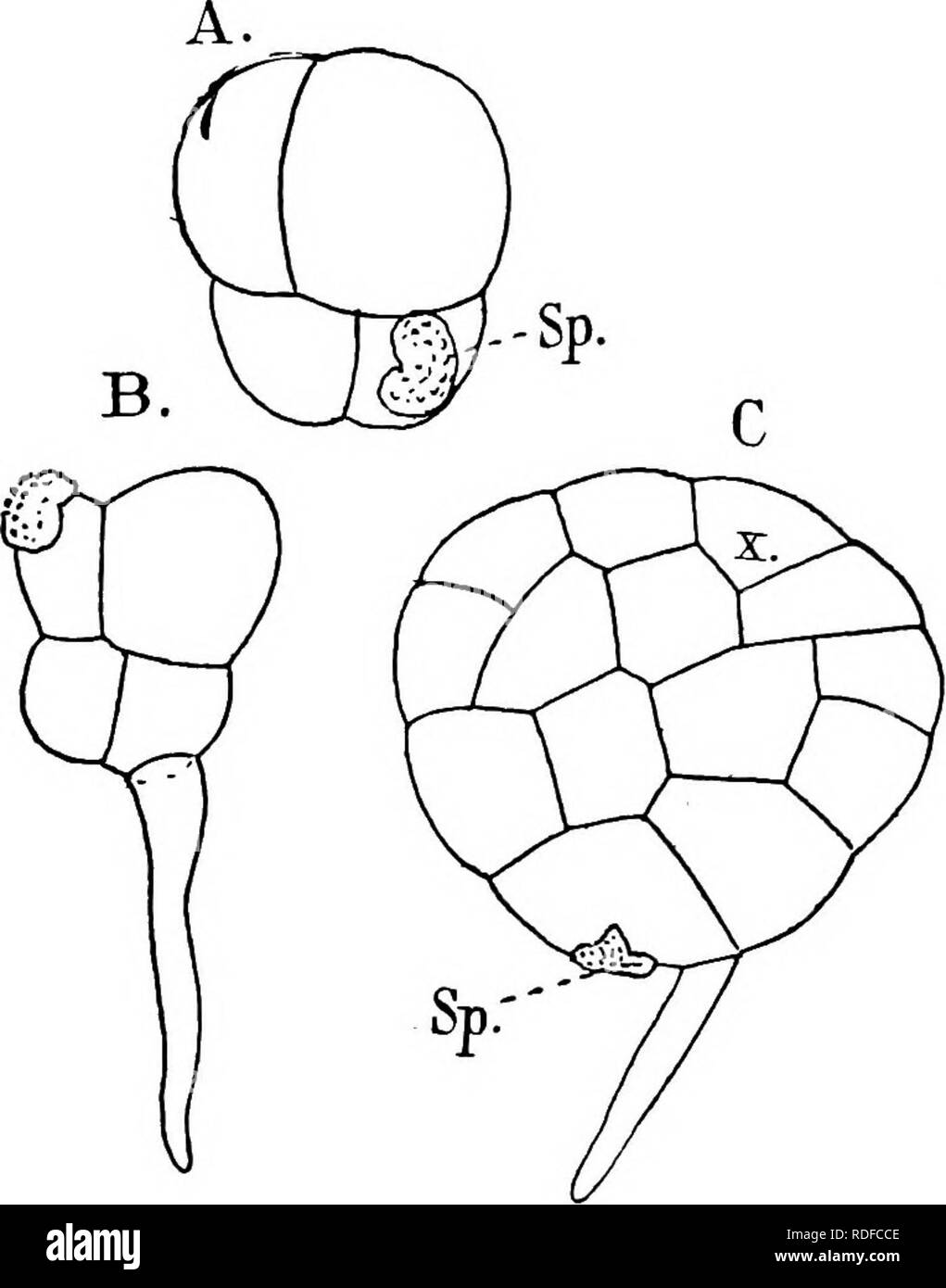 Wall quadrant Black and White Stock Photos & Images - Alamy