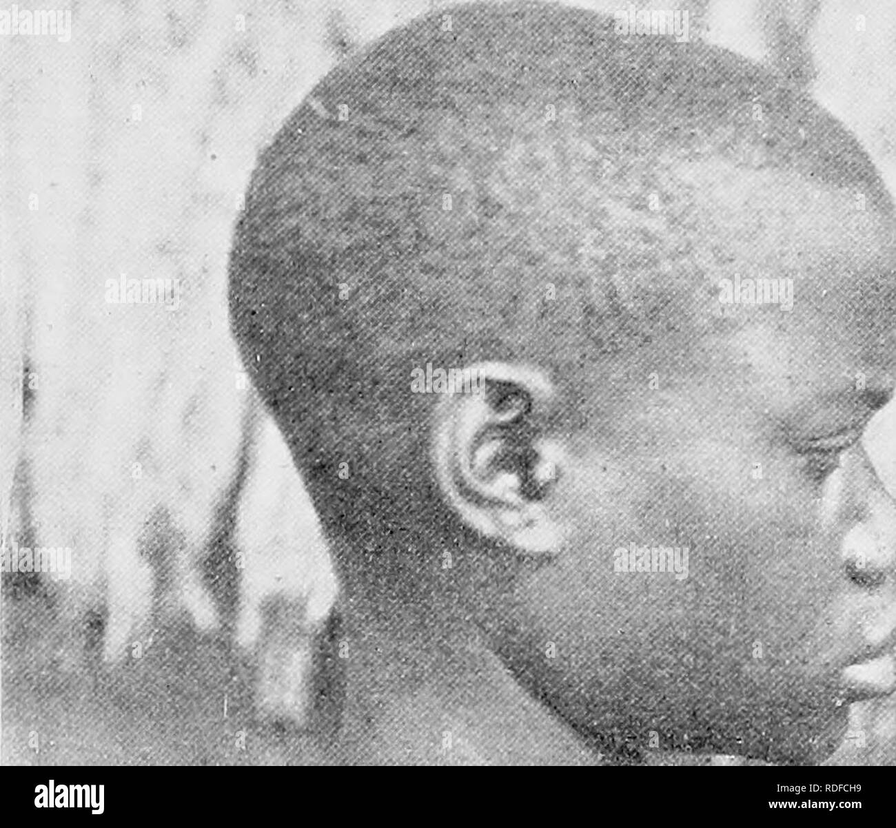 Uganda pygmies hi-res stock photography and images - Alamy