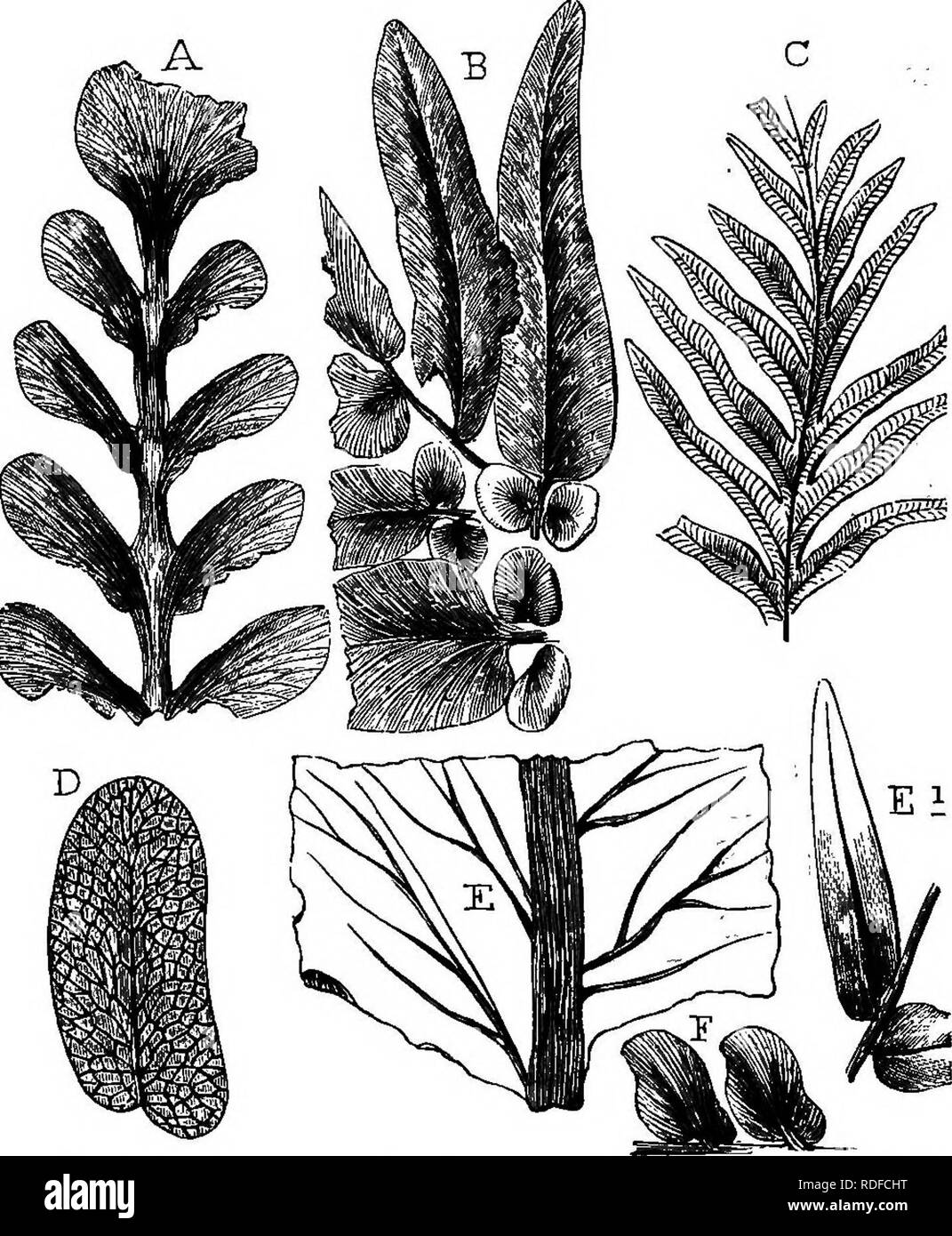 Dawson formation Cut Out Stock Images & Pictures - Alamy