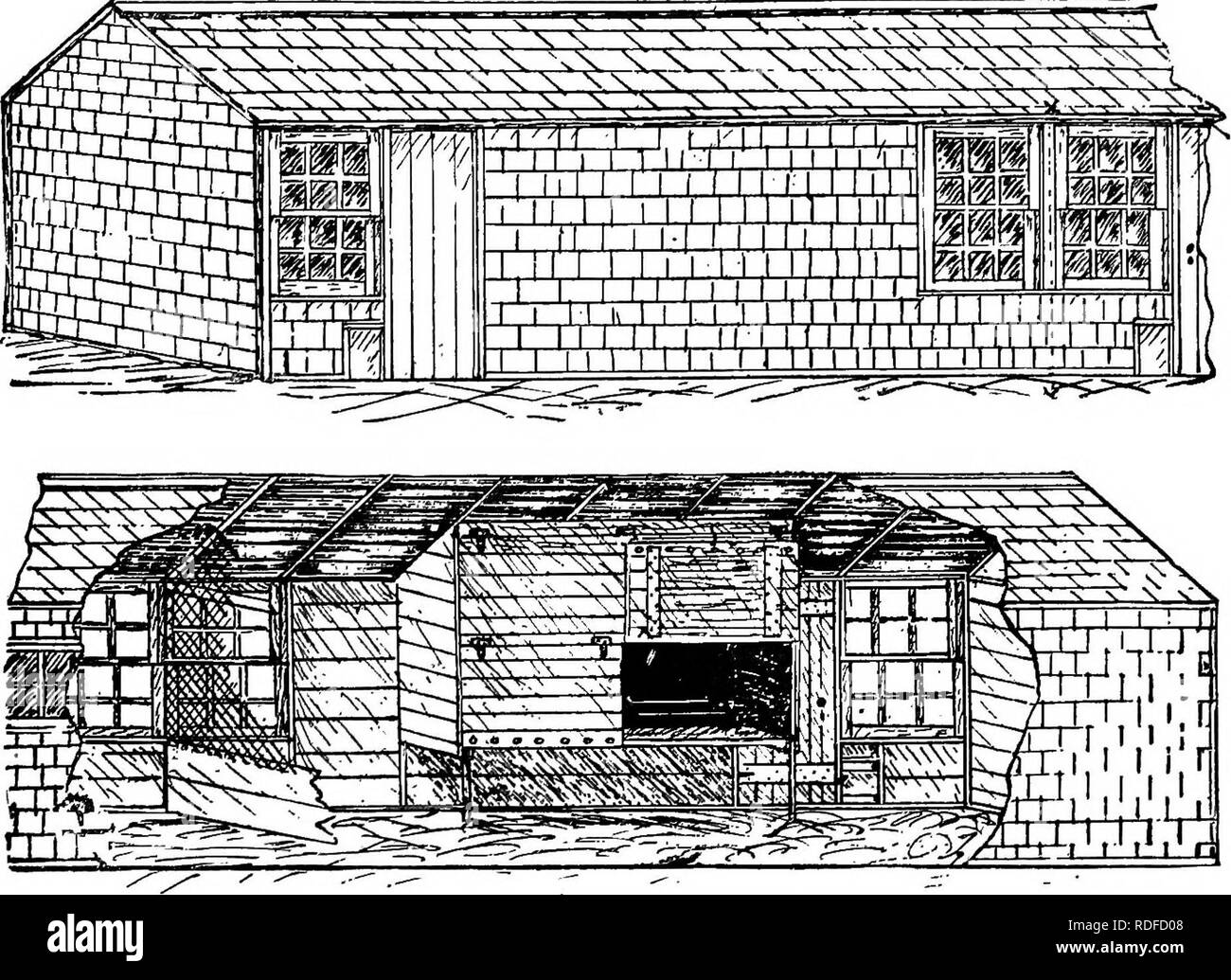 Nests on windows hi-res stock photography and images - Alamy