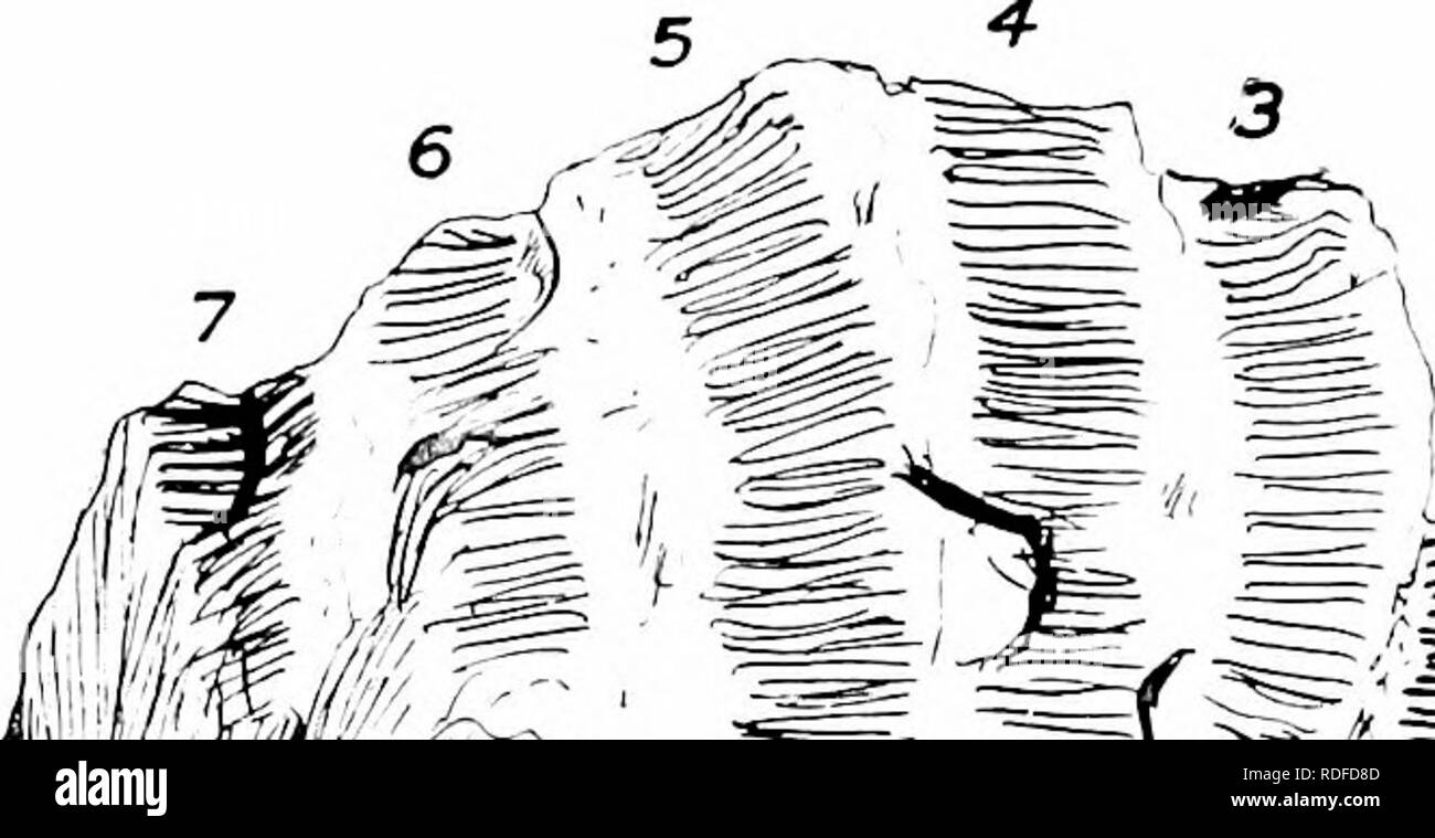 Lower greensand geology Black and White Stock Photos & Images - Alamy