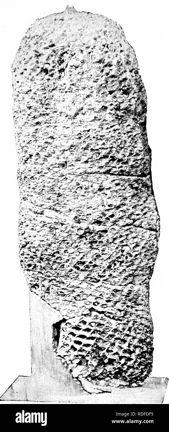 Shaley hi-res stock photography and images - Alamy