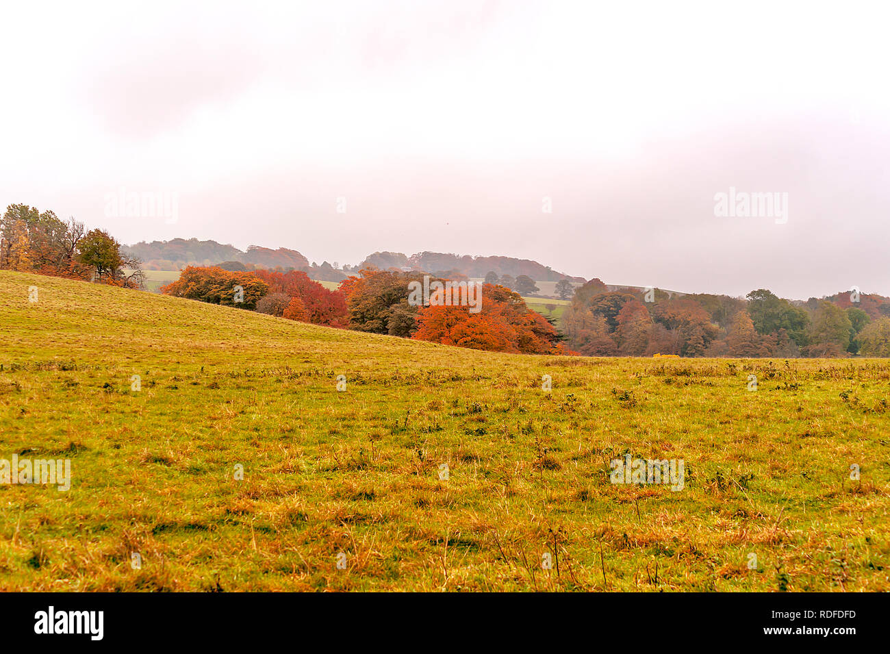 colorful autumnal landscape in England Stock Photo - Alamy