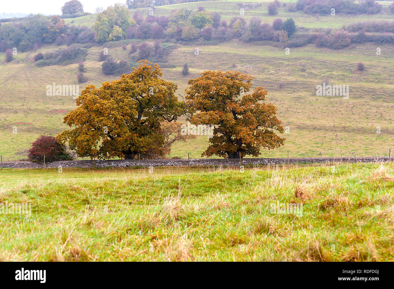 colorful autumnal landscape in England Stock Photo - Alamy