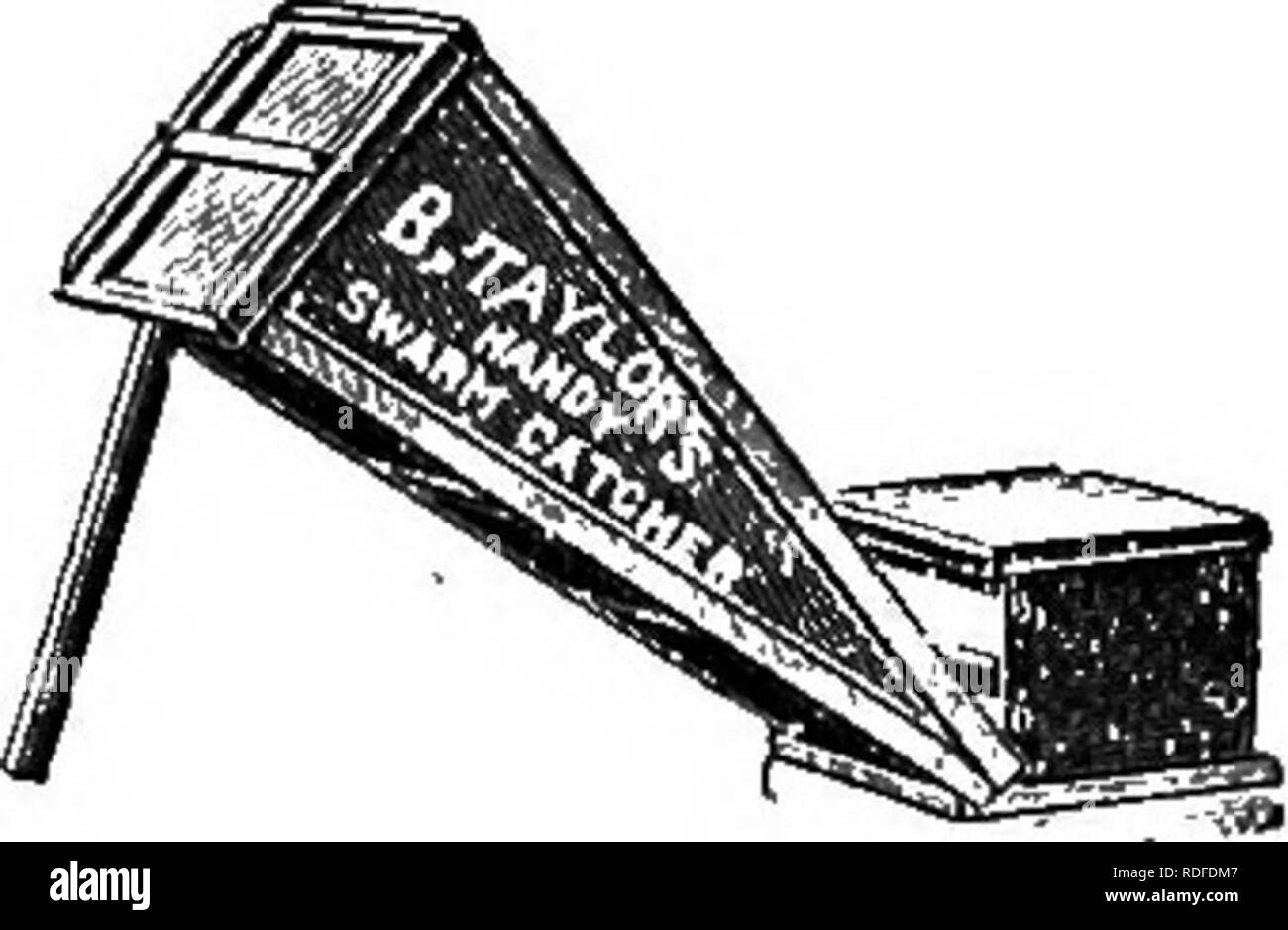 Alone bee Black and White Stock Photos & Images - Alamy