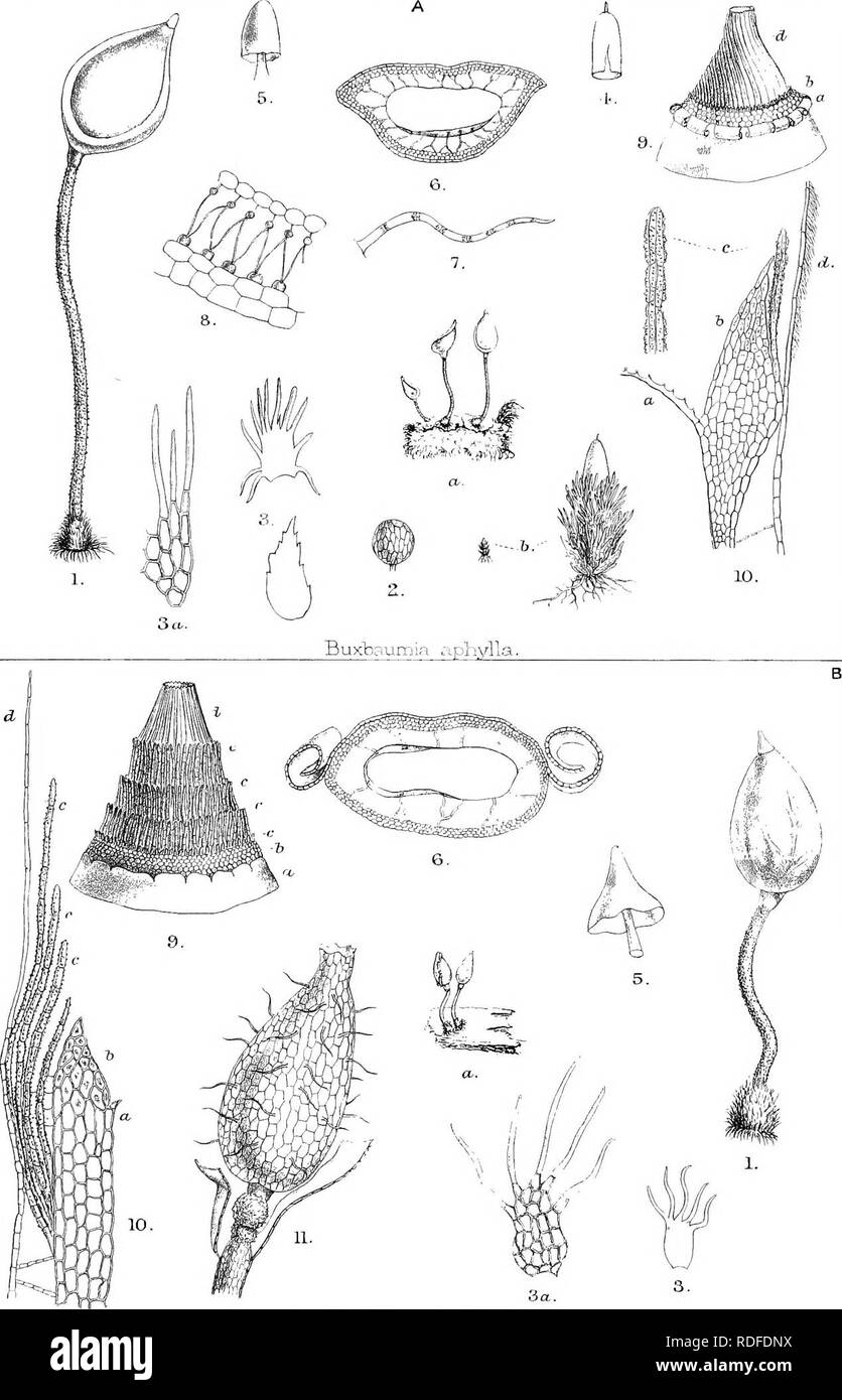 Olal Black and White Stock Photos & Images - Alamy