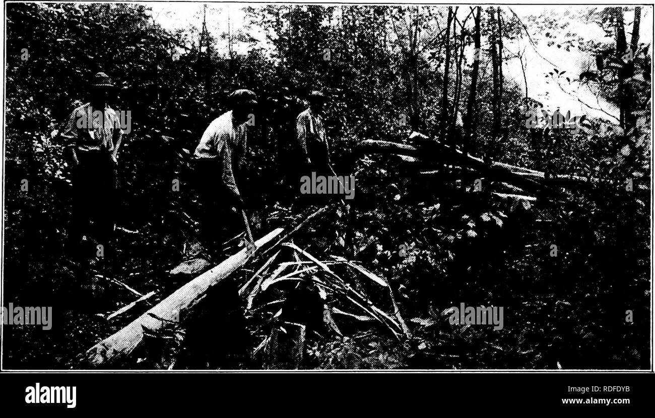 99 cent Black and White Stock Photos & Images - Alamy